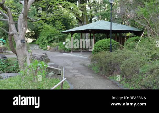 Kansenen Park Early morning, Japan Tokyo 2026 Stock Video Footage - Alamy