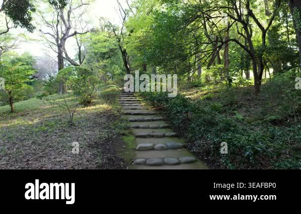 Kansenen Park Early morning, Japan Tokyo 2026 Stock Video Footage - Alamy
