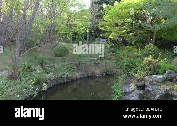 Kansenen Park Early morning, Japan Tokyo 2026 Stock Video Footage - Alamy
