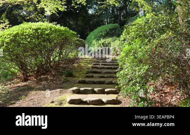 Kansenen Park Early morning, Japan Tokyo 2026 Stock Video Footage - Alamy