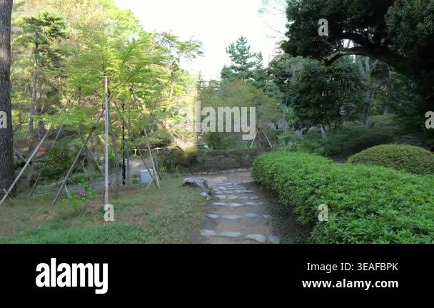 Kansenen Park Early morning, Japan Tokyo 2026 Stock Video Footage - Alamy