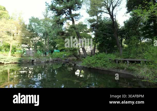 Kansenen Park Early morning, Japan Tokyo 2026 Stock Video Footage - Alamy
