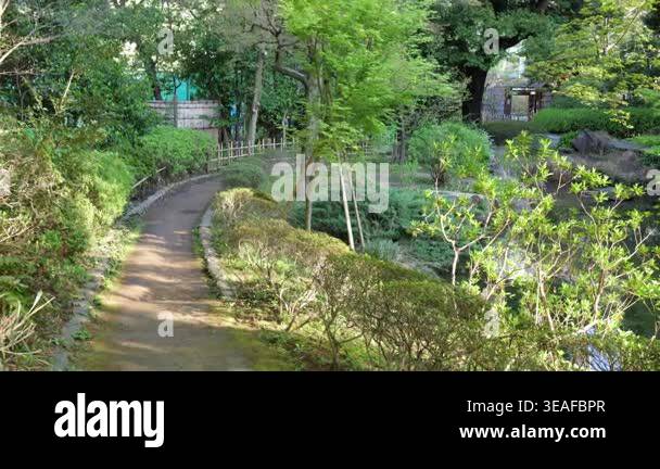 Kansenen Park Early morning, Japan Tokyo 2026 Stock Video Footage - Alamy