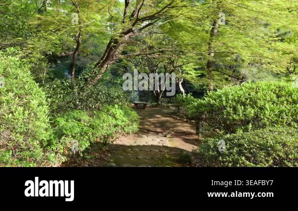 Kansenen Park Early morning, Japan Tokyo 2026 Stock Video Footage - Alamy