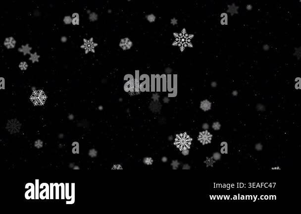 Animation delicate fall of white snowflakes over black background. Use ...
