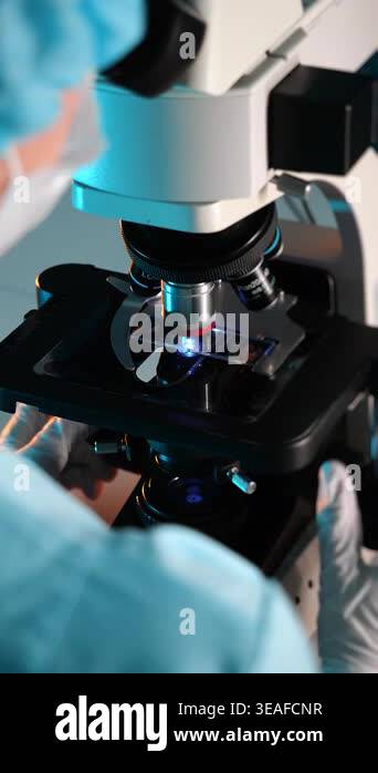 Laboratory technician examining sample under microscope and replacing ...