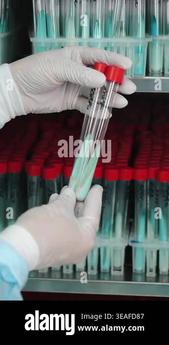 Scientist holding test tubes with samples in laboratory, medical ...