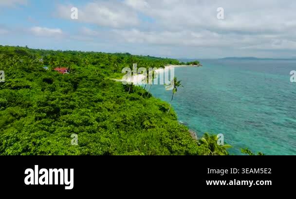 Tropical beach with coconut trees and clear turquoise water in Carabao ...