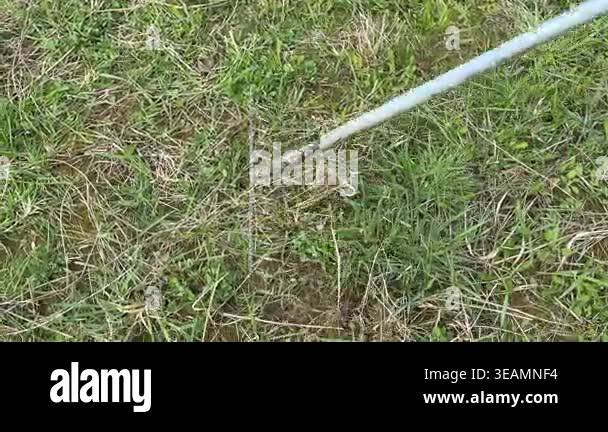 Close-up of dry grass being raked in a spring garden or rural yard. A ...