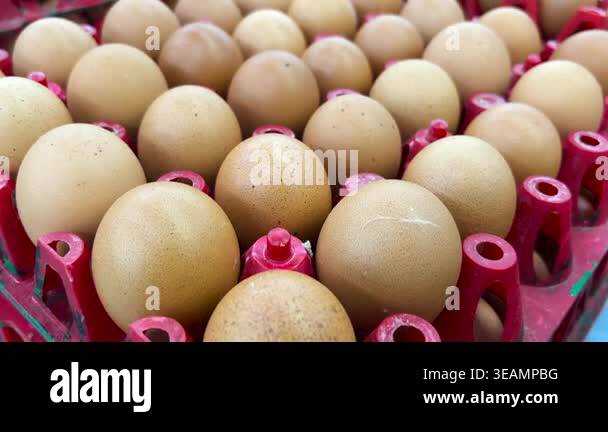 Fresh chicken eggs. Many chicken eggs are neatly arranged in a basket ...