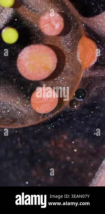 Vertical video. Paint oil. Bubbles mix. Defocused orange yellow purple ...