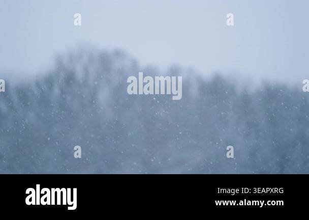 Heavy snowfall in winter with dense snowflakes falling. Weather scene ...