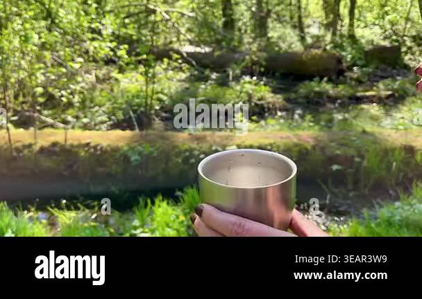 Young woman pouring hot tea from a thermos in a sunlit forest. Warm ...