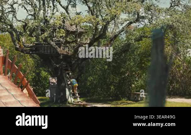 Young adventurous boy enjoying his childhood while climbing up a wooden ...
