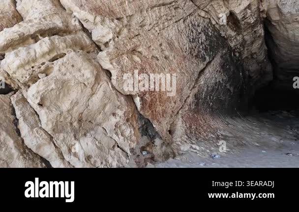 Interior of a rocky cave with bats flying in natural light. Detailed ...