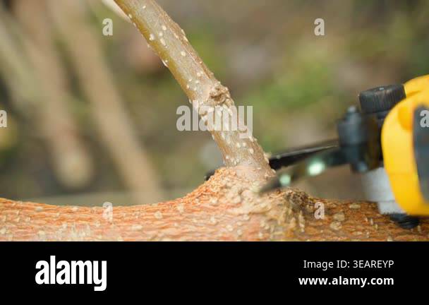 Kyiv, Ukraine - April 5, 2026: Close-up of DeWalt battery powered ...