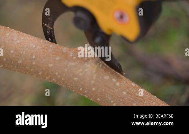 Kyiv, Ukraine - April 5, 2026: Close-up of DeWalt battery powered ...
