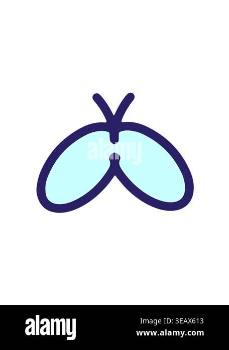 jiggle motion animation of simple illustration of a butterfly Stock ...