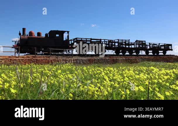 Old mining steam train on a railroad track surrounded by a field of ...