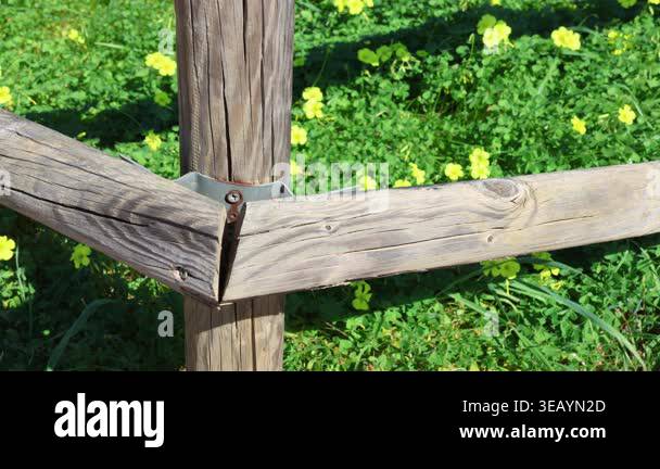 Wooden fence post with spring yellow flowers Stock Video Footage - Alamy