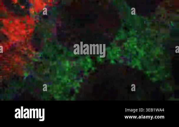 A dynamic video showcasing shifting abstract shapes and colors in a ...