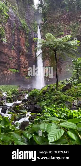 Kapas Biru waterfall surrounded by lush tropical rainforest and tree ...
