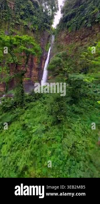 Cienmatic FPV drone flight through lush tropical jungle toward Kapas ...