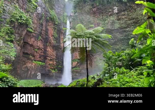Kapas Biru waterfall surrounded by lush tropical rainforest and tree ...