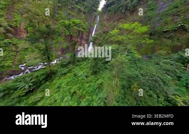 Cienmatic FPV drone flight through lush tropical jungle toward Kapas ...