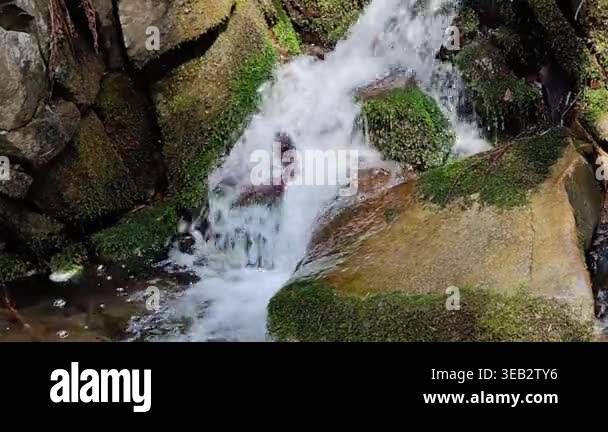 Gentle water flows over textured rocks and lush green moss, creating a ...