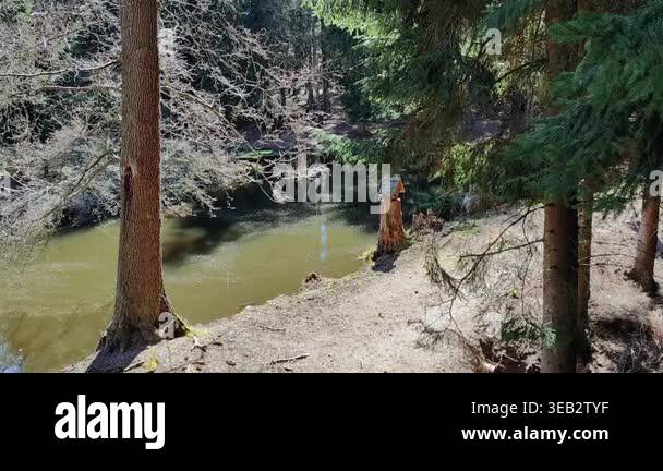 A peaceful natural landscape unfolds with a gentle river flowing ...