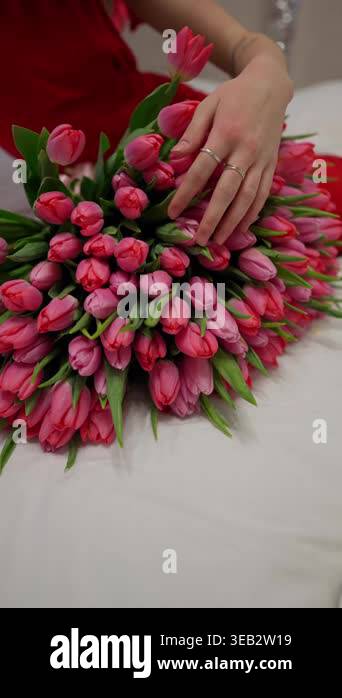 Hand touching a bouquet of pink tulips on a white surface, delicate ...