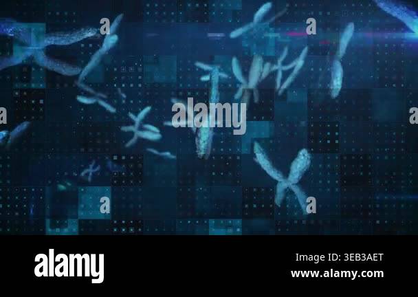 Animation of chromosomes floating over navy background and rotating dna ...
