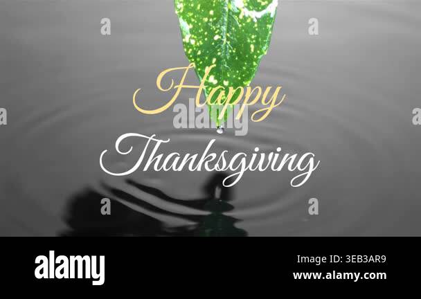 Animation of happy thanksgiving text over leaf and water. American ...