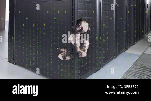 Animation of 5g text, binary coding and data processing over computer ...