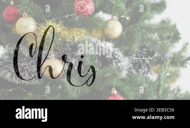 Animation of christmas greetings text over christmas tree and ...