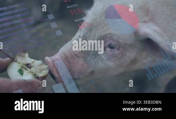 Animation of infographic interface over cropped hand feeding apple to ...