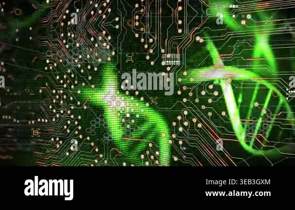 Animation of computer circuit board over dna strand on black background ...