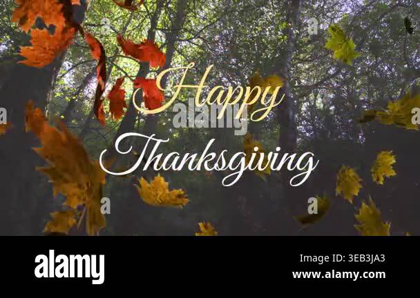 Animation of happy thanksgiving text over trees. Thanksgiving day ...