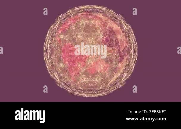 Animation of globe and network of connections over purple background ...