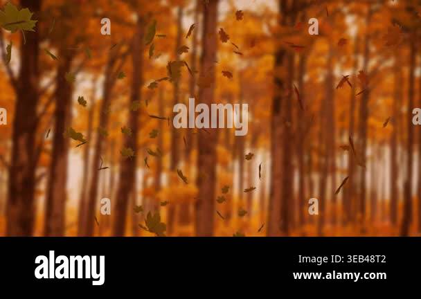Animation of leaves blowing over autumn trees in forest. Season, autumn ...
