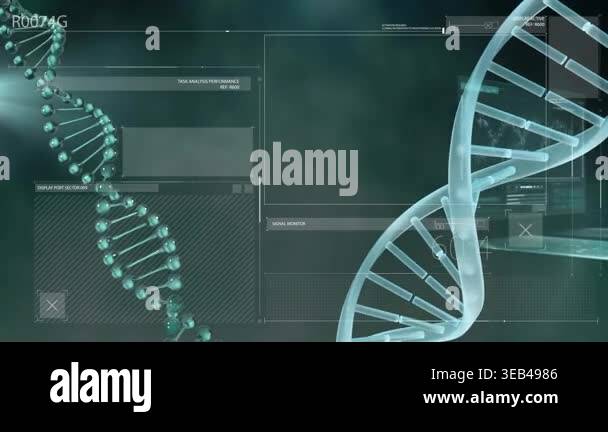 Animation of dna strand spinning and data processing over model of ...