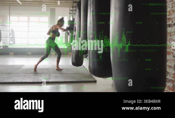 Boxer training with punching bag, green data visualization animation ...