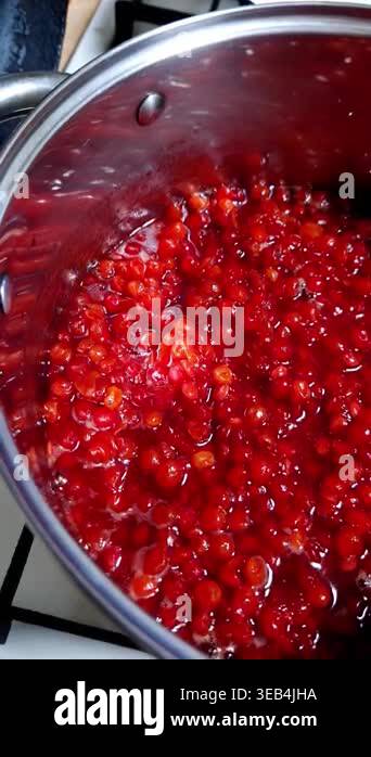 Red berries simmer and bubble in a stainless steel pot on a stove ...