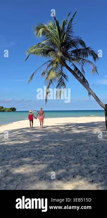 Two people walk hand in hand under a swaying palm tree on the beautiful ...