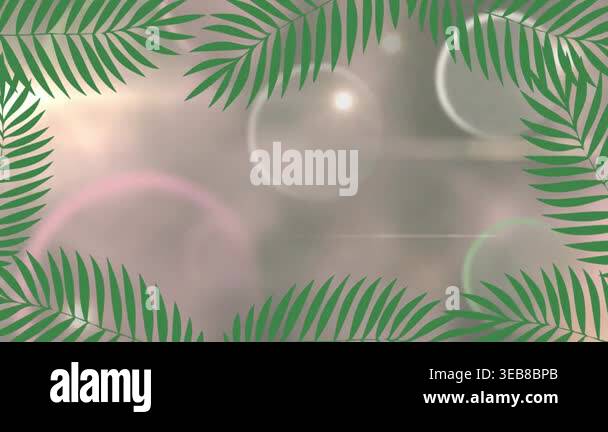 A digital animation of green leaves icons with copy space on a black ...