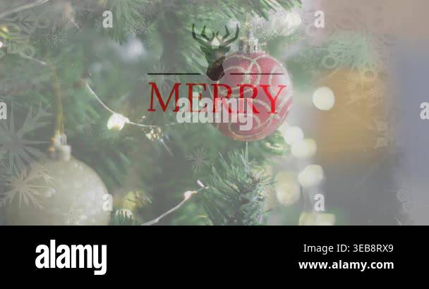 Animation of christmas greetings text over christmas tree and ...