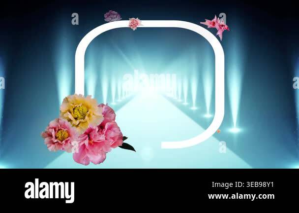 Animation of flowers and frame over stage. Abstract background and ...