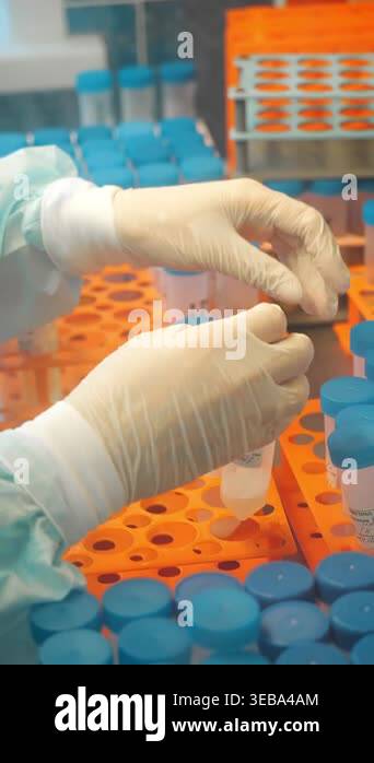 Laboratory technician sorting test tube samples in modern medical lab ...