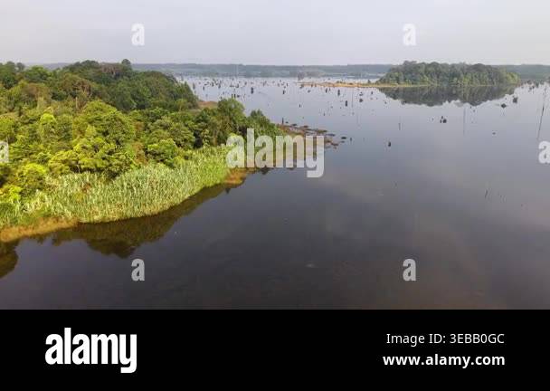 Aerial lake view reflects lush green trees. Distant island adds natural ...